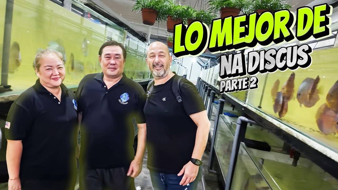 MILES DE DISCOS | SEGUNDA GRANJA NA DISCUS - YouTube