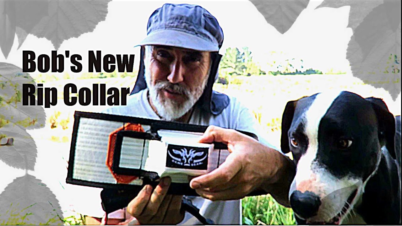 Bob's new rip collar - YouTube