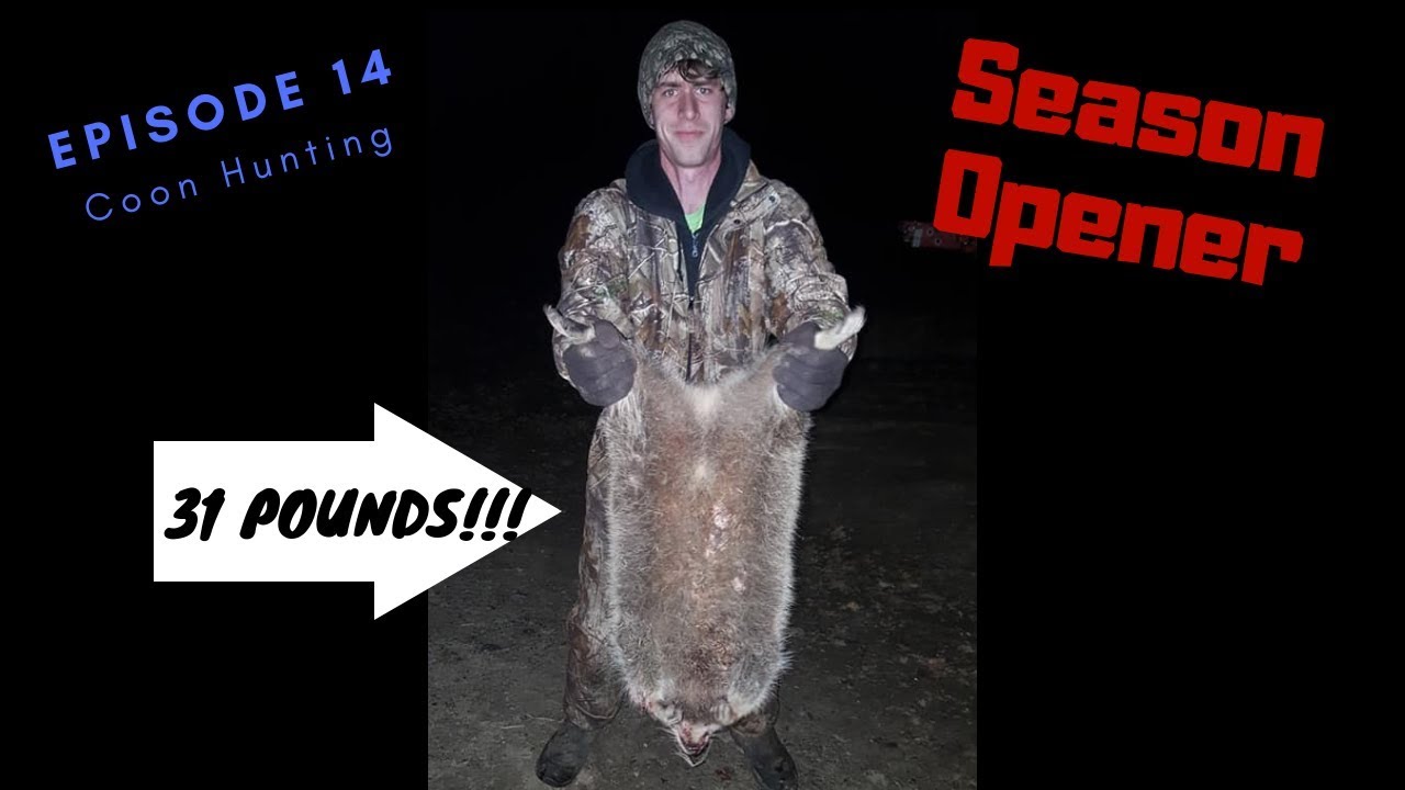 Season Opener - Biggest Coon Ever Episode 14 Coon Hunting - YouTube