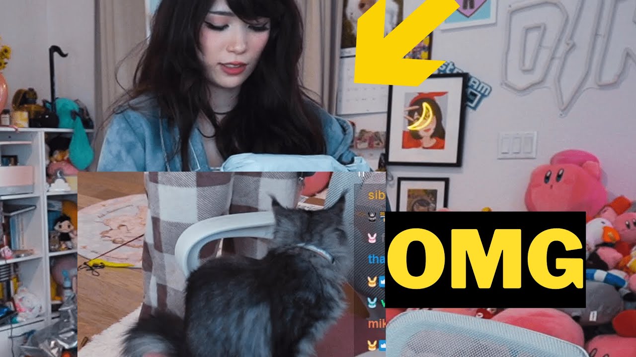 EMİRU TALKS TO THE CAT AND THE CAT IS LISTENING - YouTube