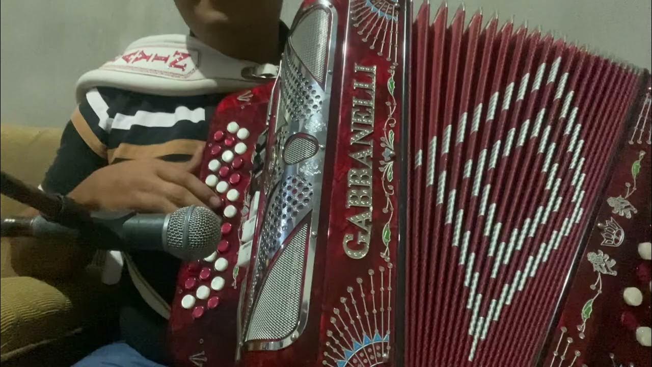365 (acordeón cover) Los Reales del Río - YouTube
