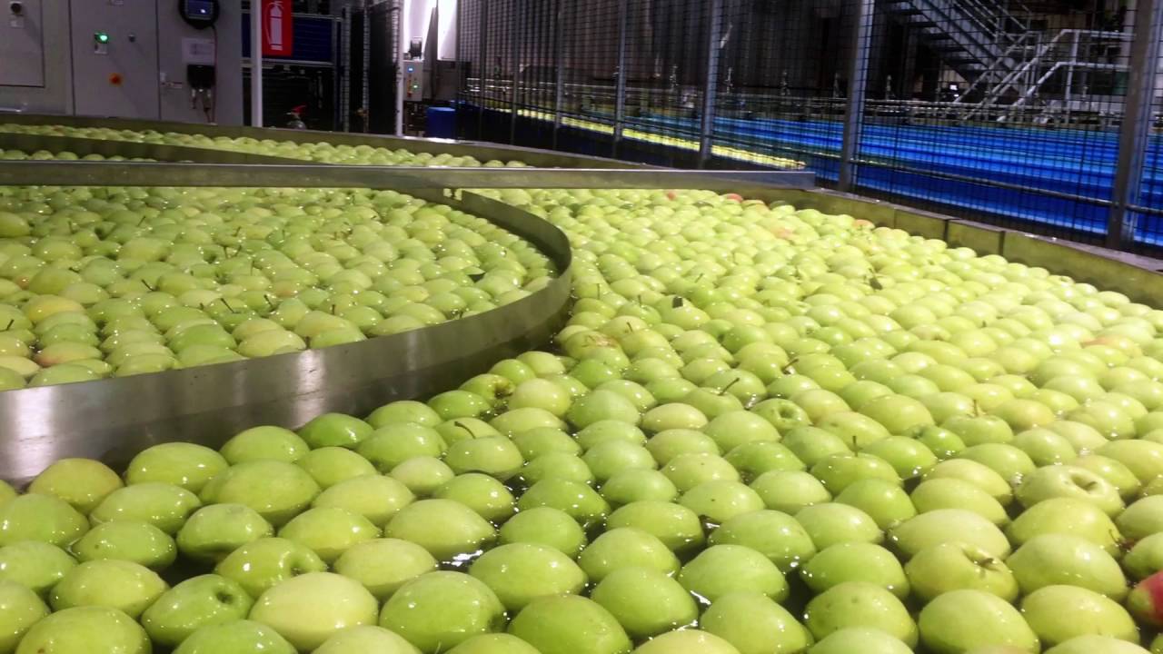 GREEFA intro film for apple and pear solutions - YouTube