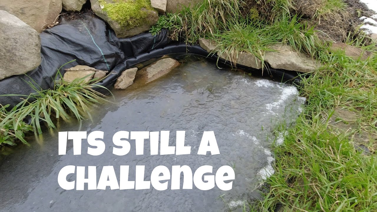 It is still a challenge | Allotments For Fun and Food - YouTube