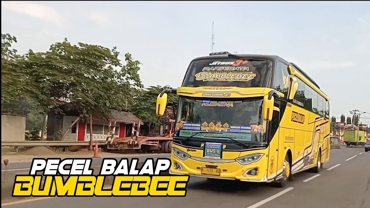 PECEL BALAP BUMBELBEE FULL SPAM BASURI CORONG ATAS🎺🎺|| PECEL BALAP ...