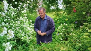 Gardeners' World 2026🍀Episode 15