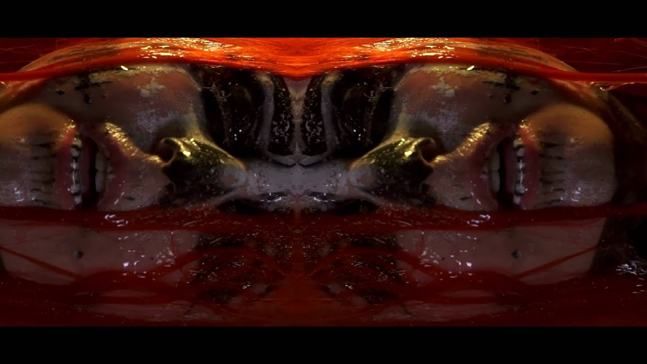 The Last Exposure Echo YouTube the-last-exposure-echo-youtube