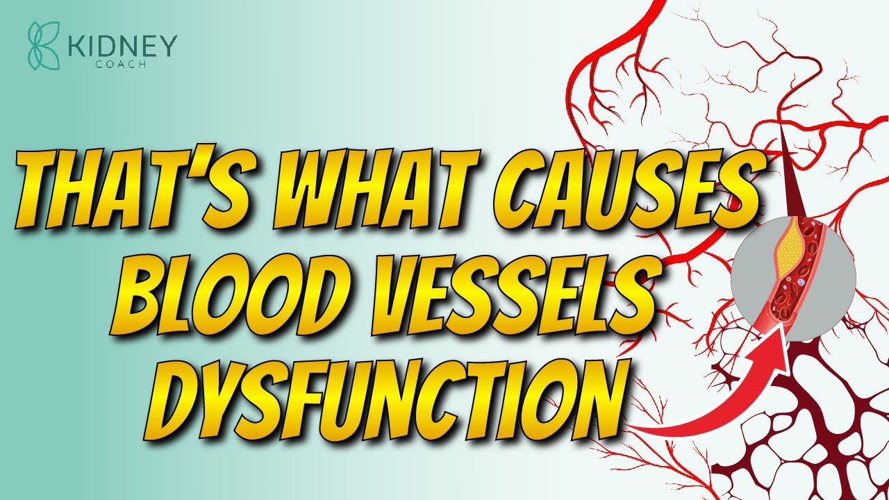 What Causes Blockage Of Blood Vessels In Humans??? | Blood Vessels ...