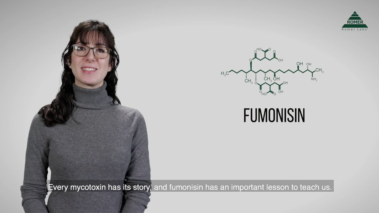 Mycotoxin Minute 70 - Fumonisin in Corn in Southeast Asia - YouTube