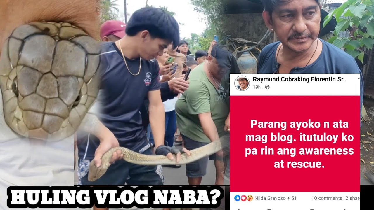 NAG PAALAM NA SI COBRA KING...... - YouTube