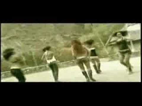 Я влюблен в вас - Звезды Амазонка