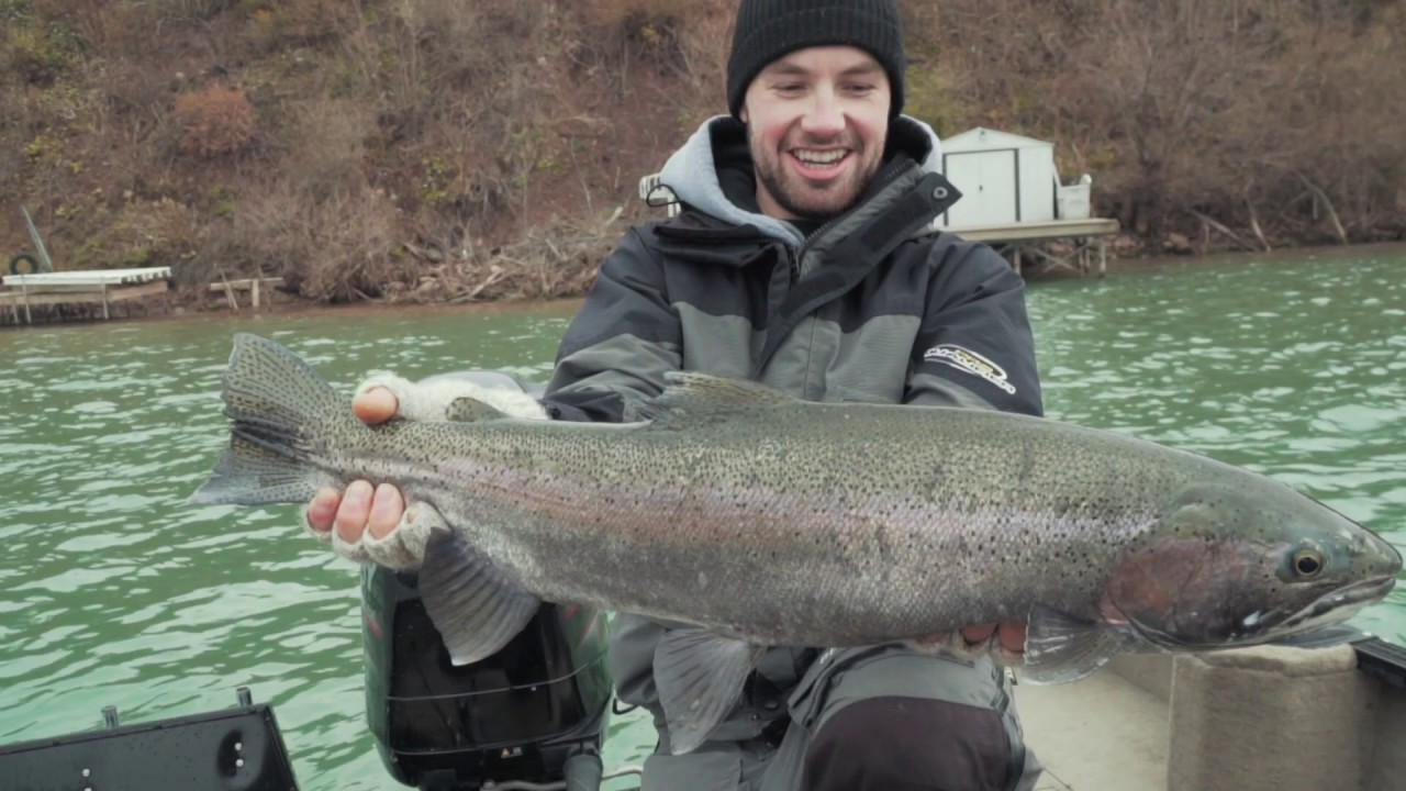 Lower Niagara river steelhead - YouTube