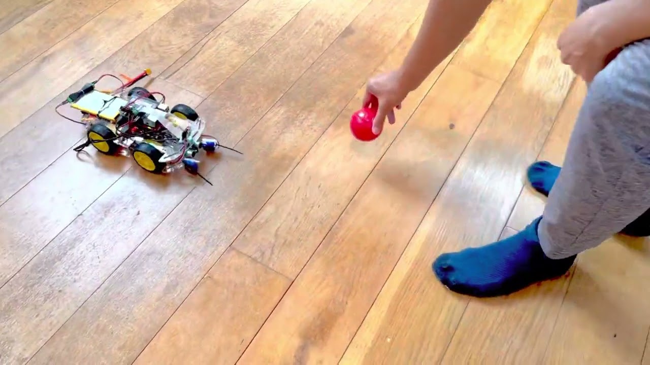 Ball Chasing Rover - YouTube