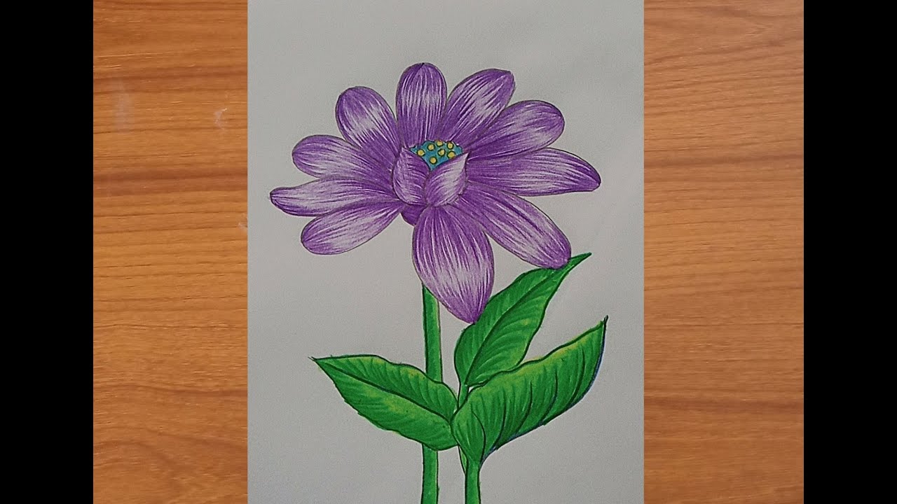 Flowers drawing ||Color and pencil drawing tutorial || How to draw a ...