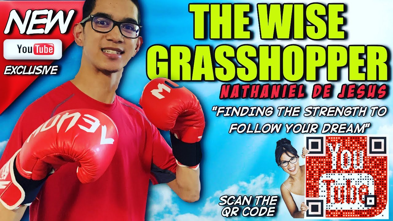 Compilation Video Welcome to The Wise Grasshopper - YouTube