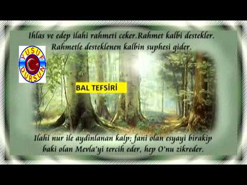 Bal Tefsirine Reddiye (Açıklamada)