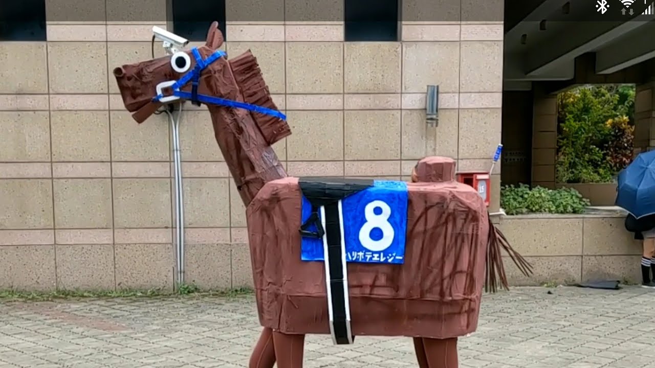 【CWT-61】好可愛的賽馬！誰能告訴我名字嗎？走起路來超可愛！@同人誌 台北場 - YouTube