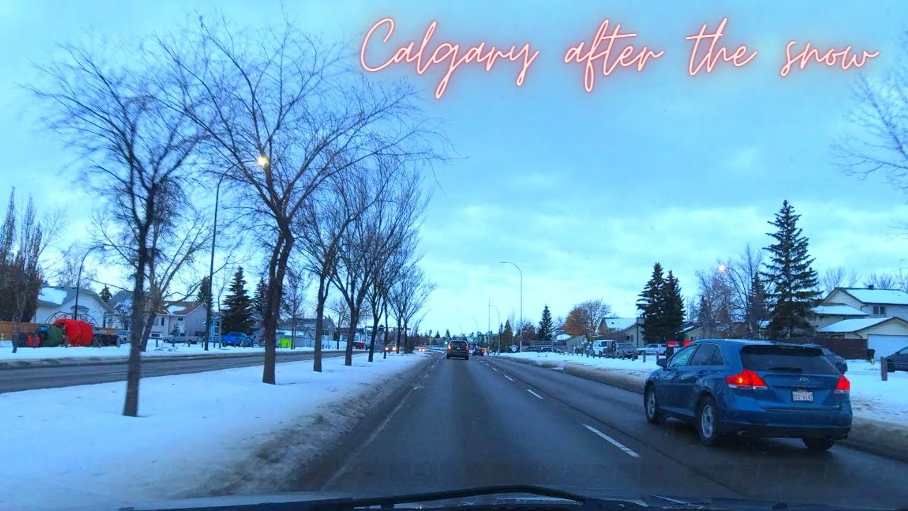 Calgary in the Mid of November 2022 | After the Snowfall #calgary # ...