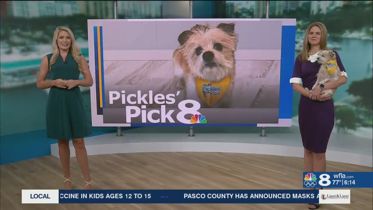 Pickles' Pick - YouTube