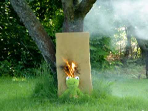 Frog Explosion - YouTube