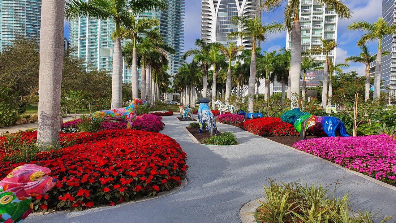 Miami's New Dog & Cat Sculpture Park - YouTube