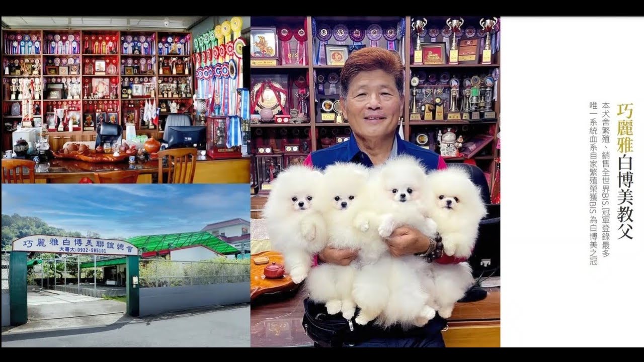 240702| Chiao Li Ya White Pomeranin World - YouTube