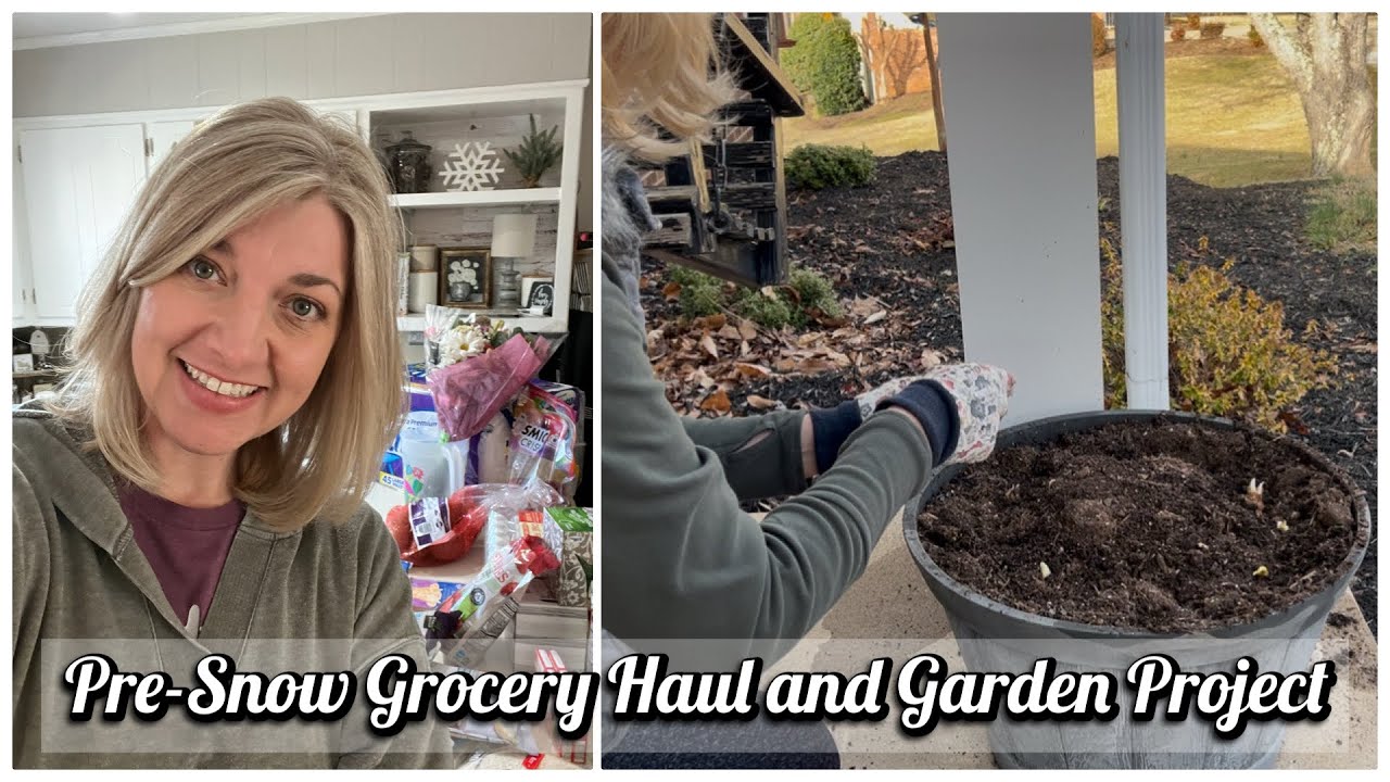 Sam’s/Aldi Grocery Haul | Spring Flower Arrangement | Spring Bulb ...