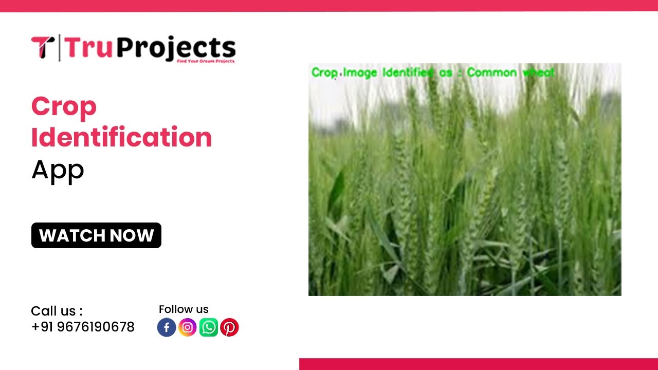 crop identification app - YouTube