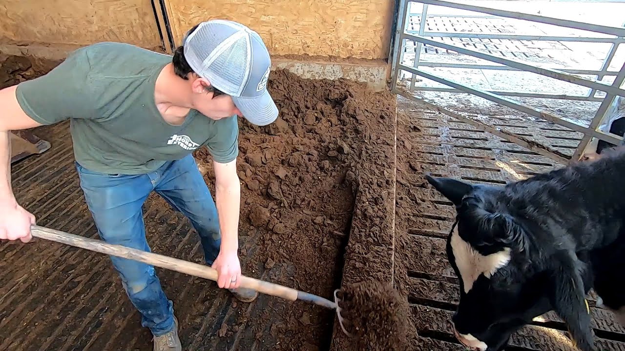 Gettin' stuff done on the farm - YouTube