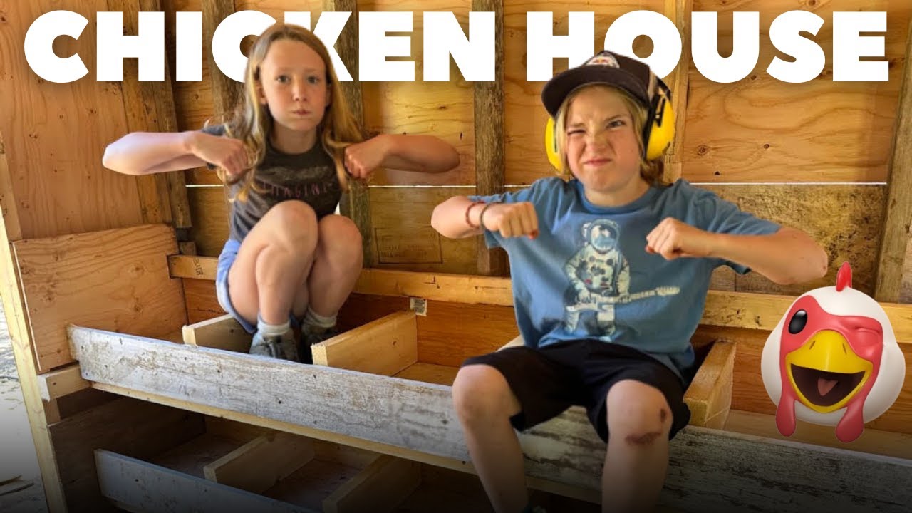 We're Building Chicken House: Progress Update and Journey To Completion ...