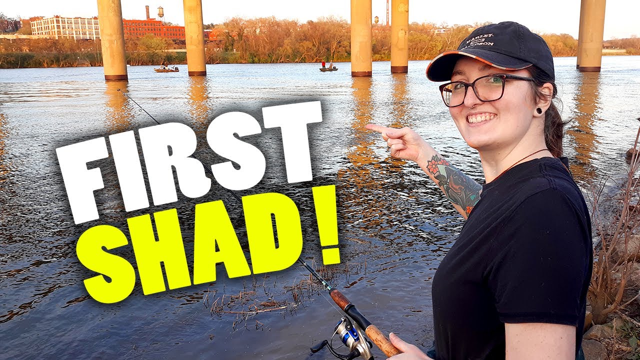Shana's First Time Shad Fishing! - YouTube