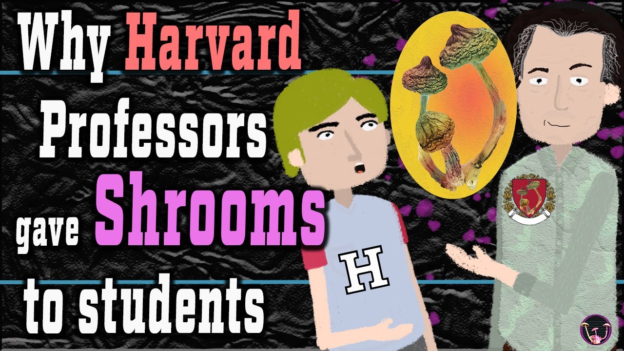 Leary, Alpert & The Harvard Psilocybin Project (pt1) - YouTube