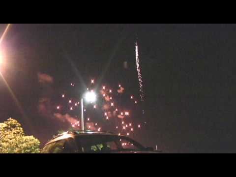 Max and the Fireworks Display - YouTube