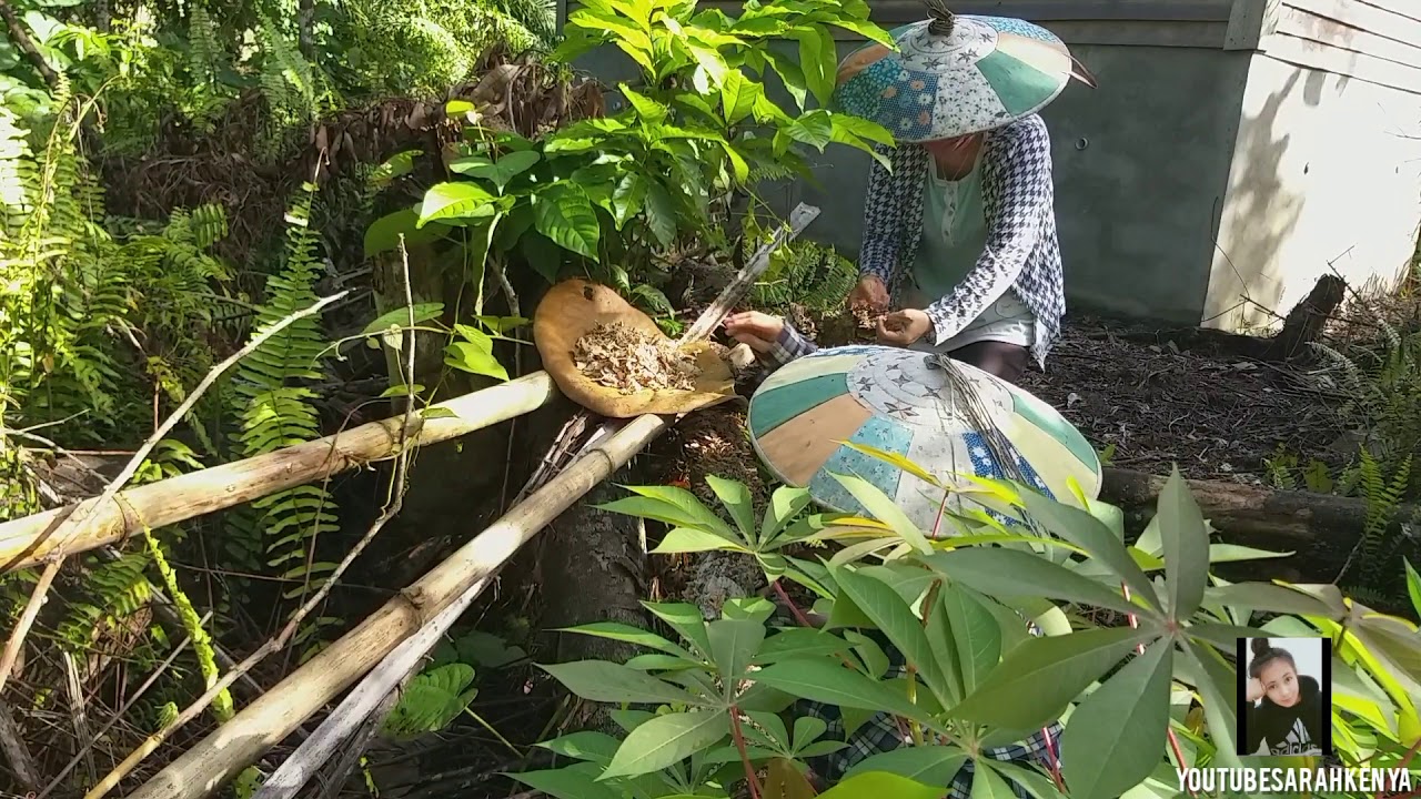 DAPAT JAMUR GRIGIT || MASAK KULAT JA'AP || BERHENTI KERJA DAN MENJADI ...