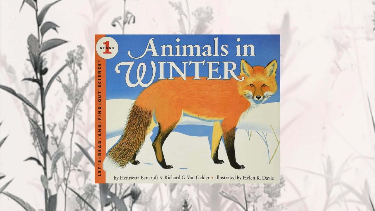 Animals in Winter 🦊 ️| AR book 2.5 | Read Aloud Non- Fiction - YouTube
