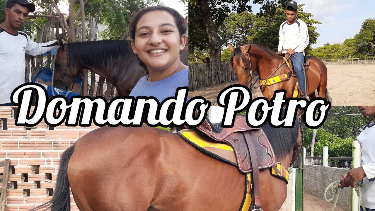 1° DIA DOMANDO UM POTRO - YouTube