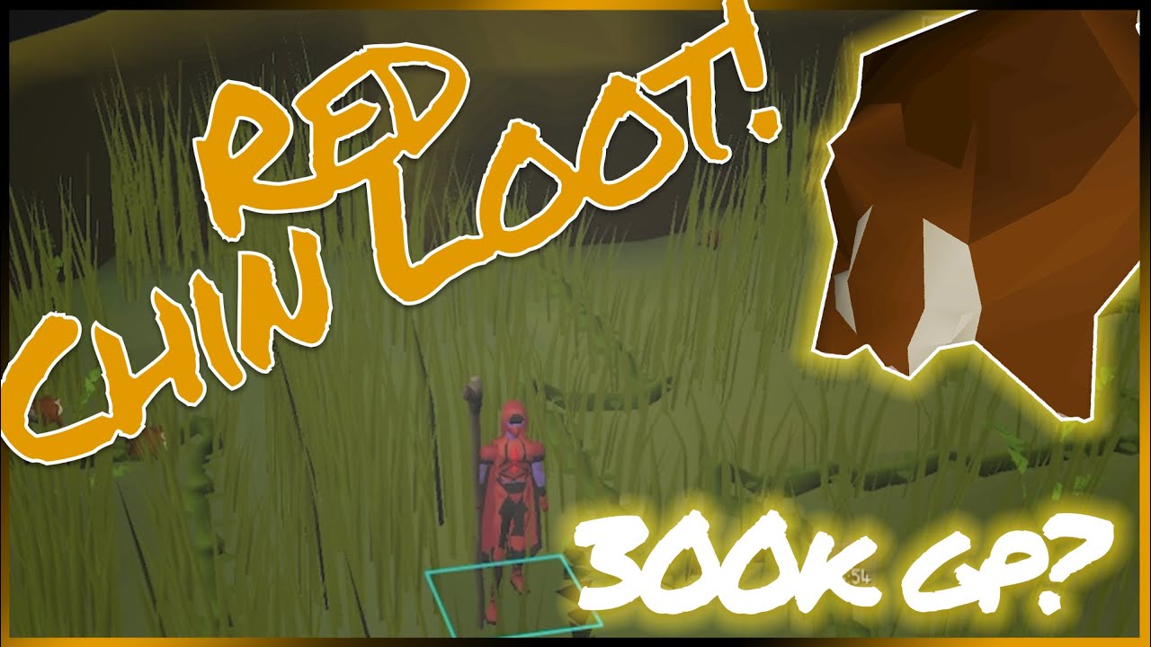 Loot From 5hrs of Red Chins | OSRS - YouTube
