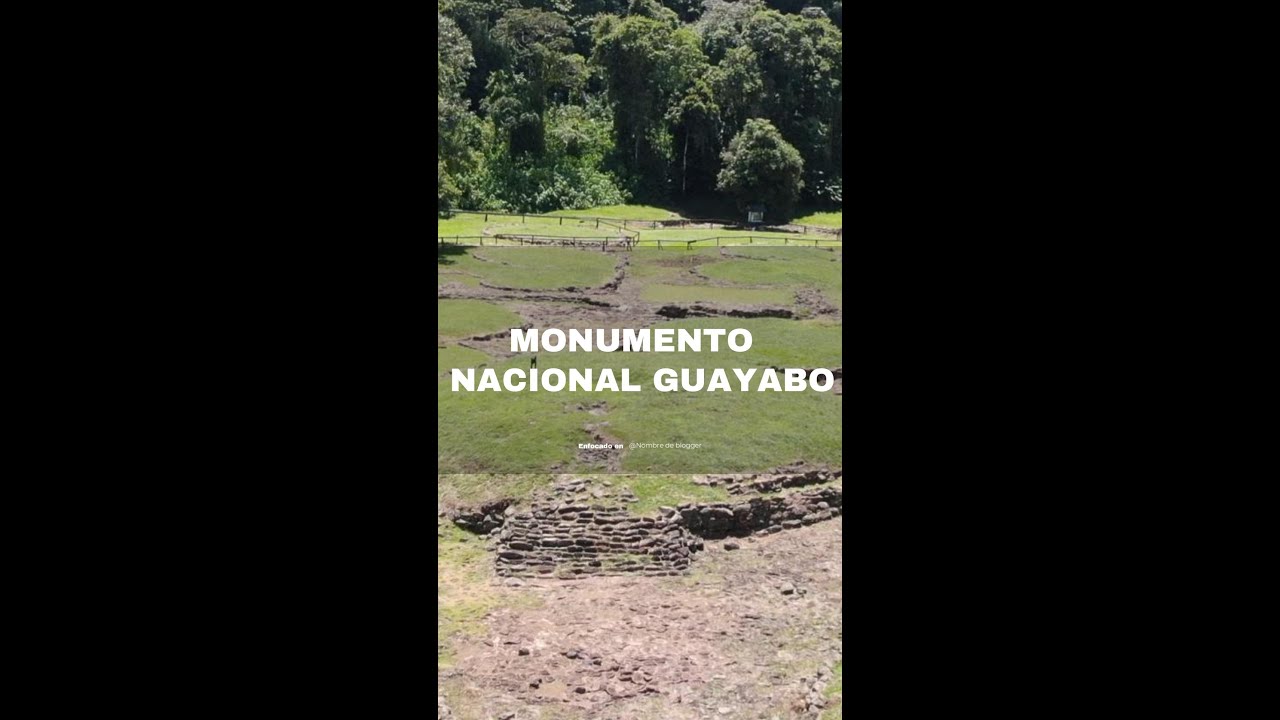 EXPEDICION SAMUEL Y DIEGO PARQUE NACIONAL GUAYABO - YouTube