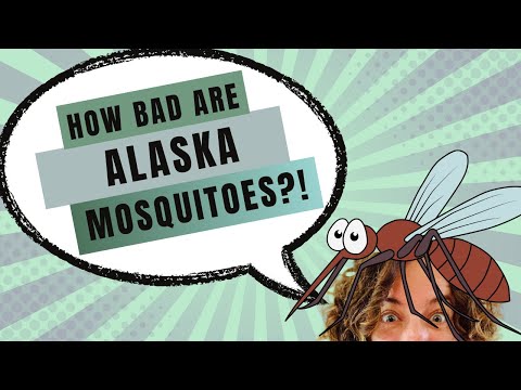 Mosquitoes in Alaska: What You Need to Know (2025)