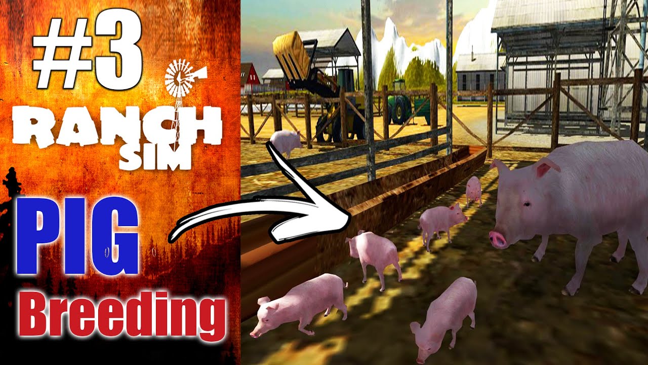 Ranch Simulator (pig BREEDING) RANCH SIMULATOR INDIA हिंदी #3 - YouTube
