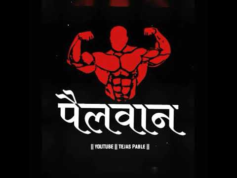 Pailwan Aala Status Video - YouTube