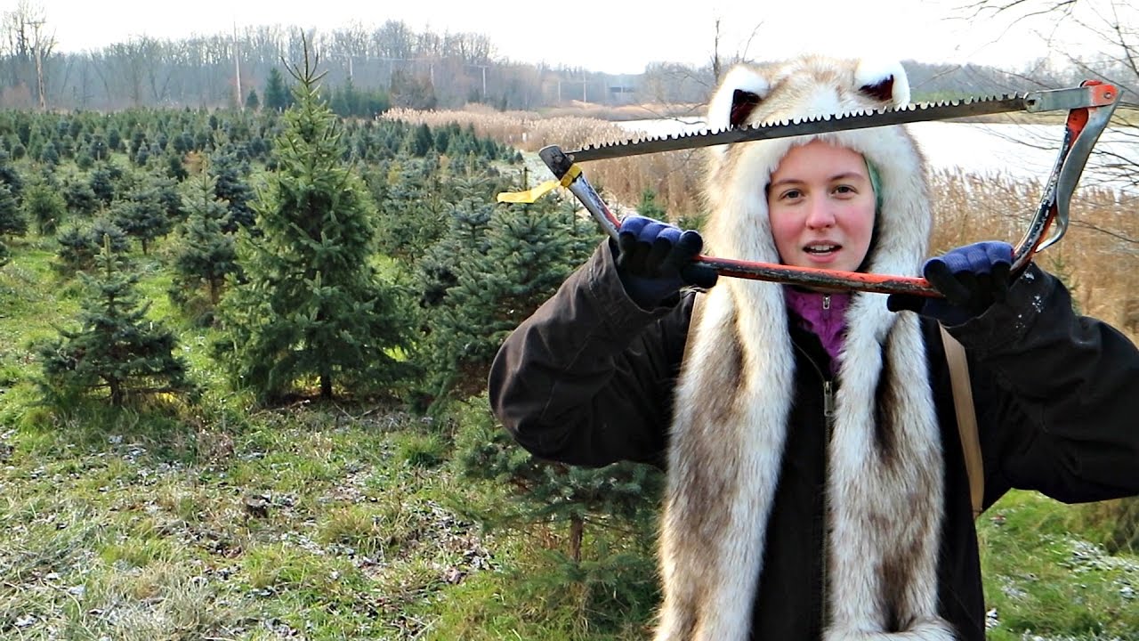 Christmas Tree Hunting! - YouTube