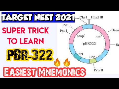 Super Trick To Learn pBR-322 (PLASMID) | Biotechnology Tricks For NEET ...