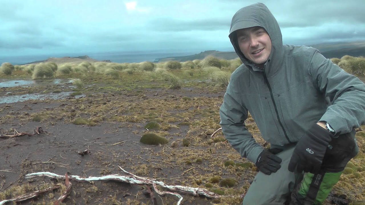 Bush bashing in the Auckland Islands (50˚S) - YouTube