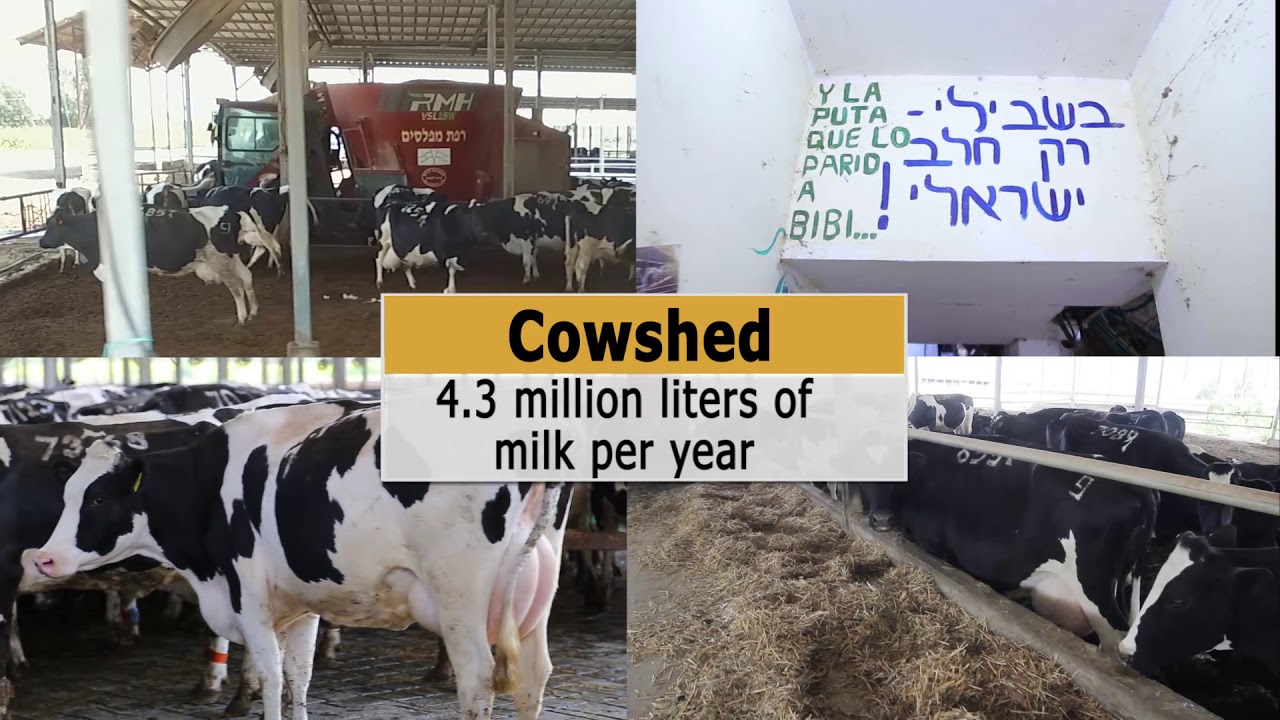 Kibbutz Mefalsim celebrates 70 years- ID - YouTube