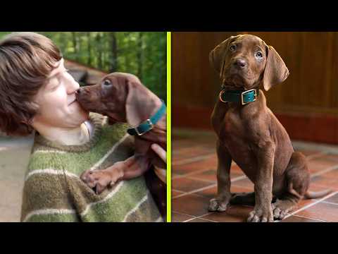 Netflix's Scooby-Doo Introduces REAL PUPPY Playing Iconic Dog for 'Origins'