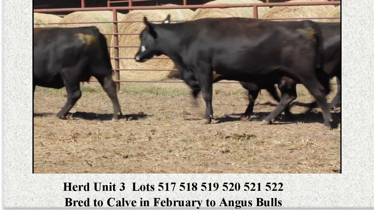 517 518 519 520 521 522 - YouTube