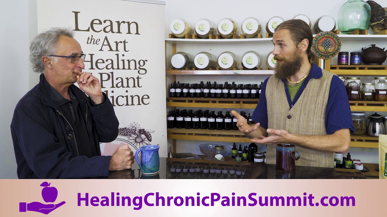 Yarrow Willard - Healing Chronic Pain Summit (2) - YouTube