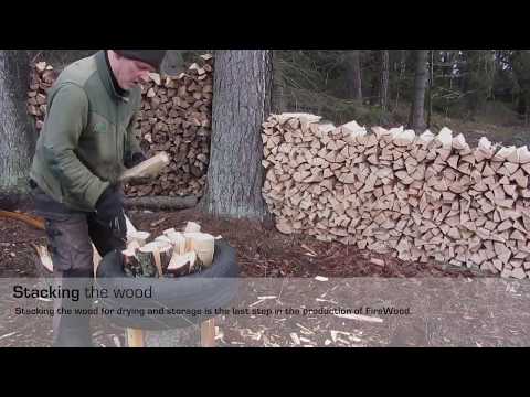 FireWood with Axe and Saw