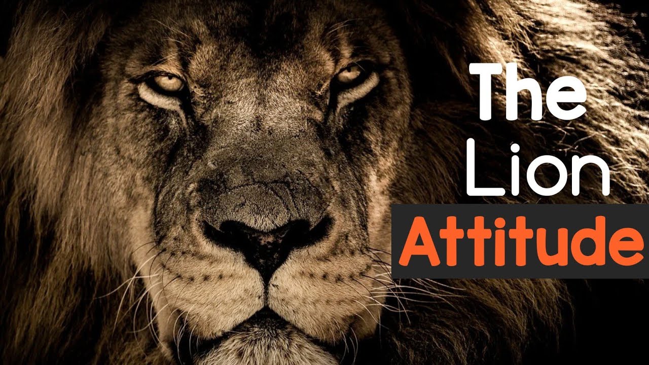 Motivational Video | Being a Lion at Heart: The Lion Attitude - YouTube