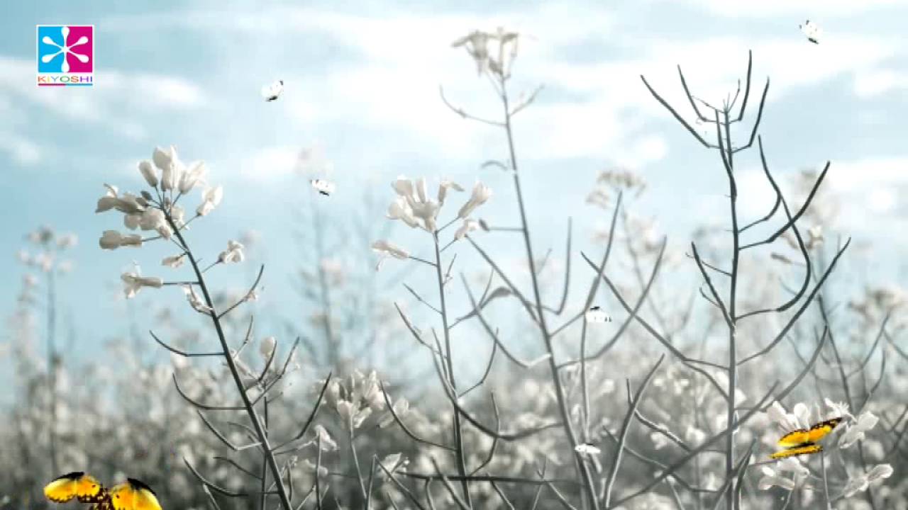 Healing Instrumental Saxophone Music Relaxation Calming Music 2833C ...